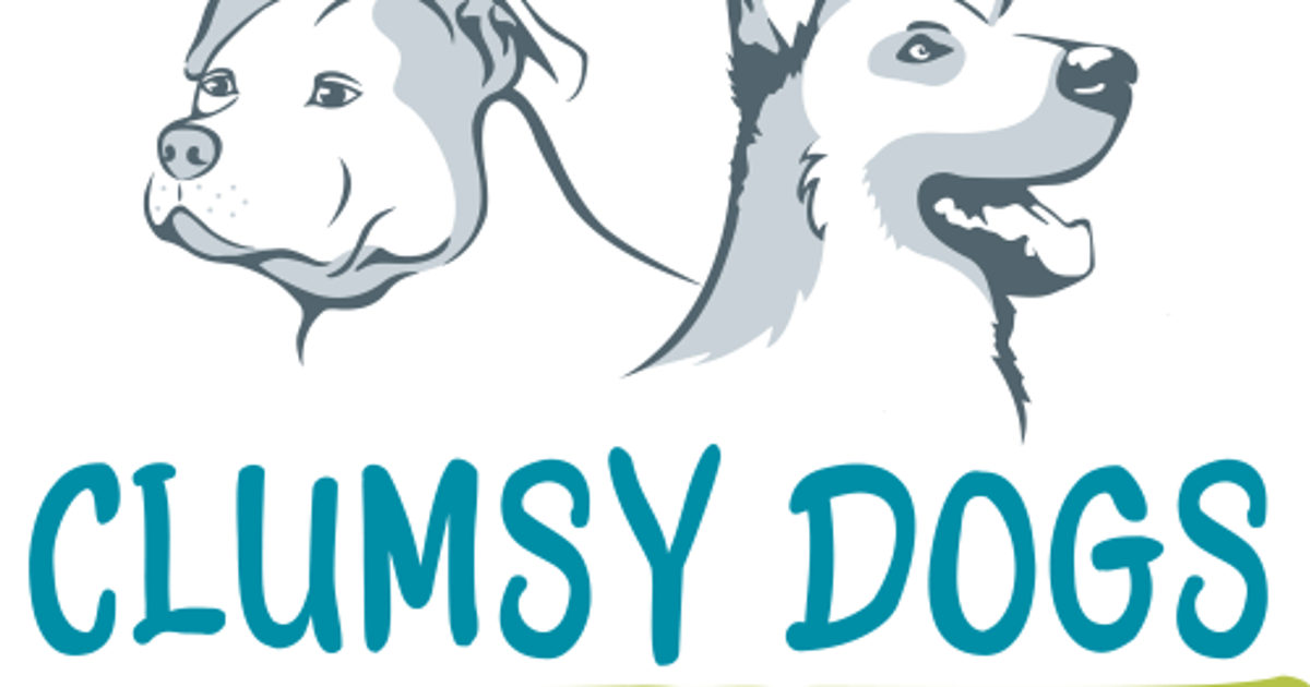 Clumsy Dogs - Hundesport Babenhausen e. V. | SV Babenhausen